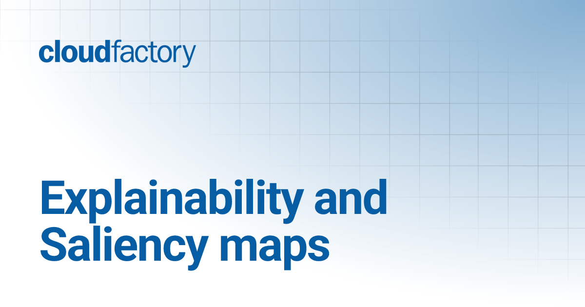 Explainability and Saliency maps | AI Data Platform Docs